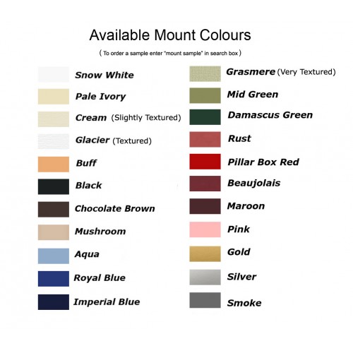 A1 Bevel Edge Photo Picture Mount